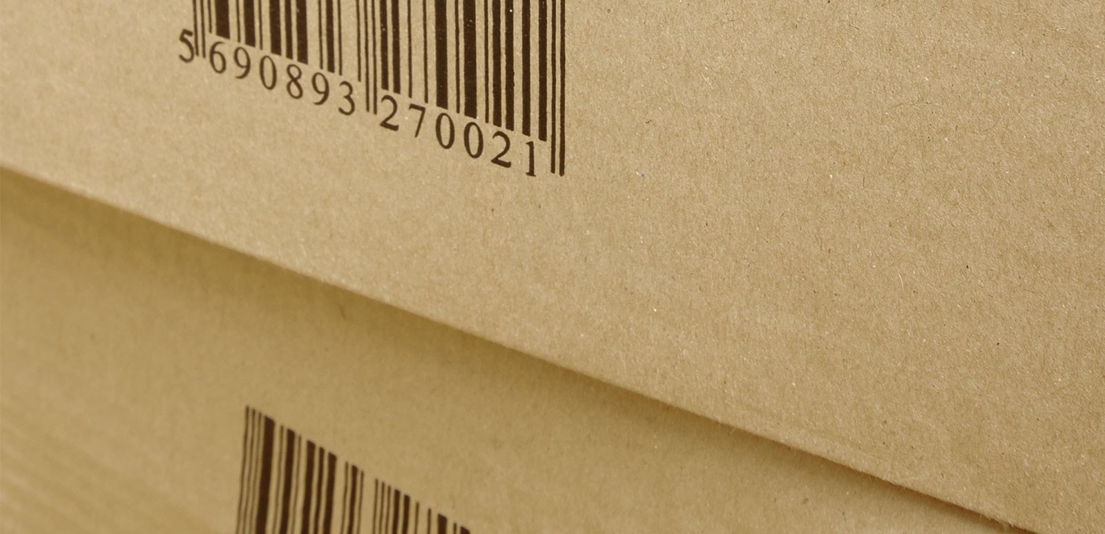 Outer Case Coding And Marking : Labelling vs Direct Printing | Rotech Machines Limited